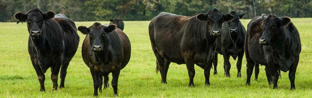 General Store - Ottawa Farms